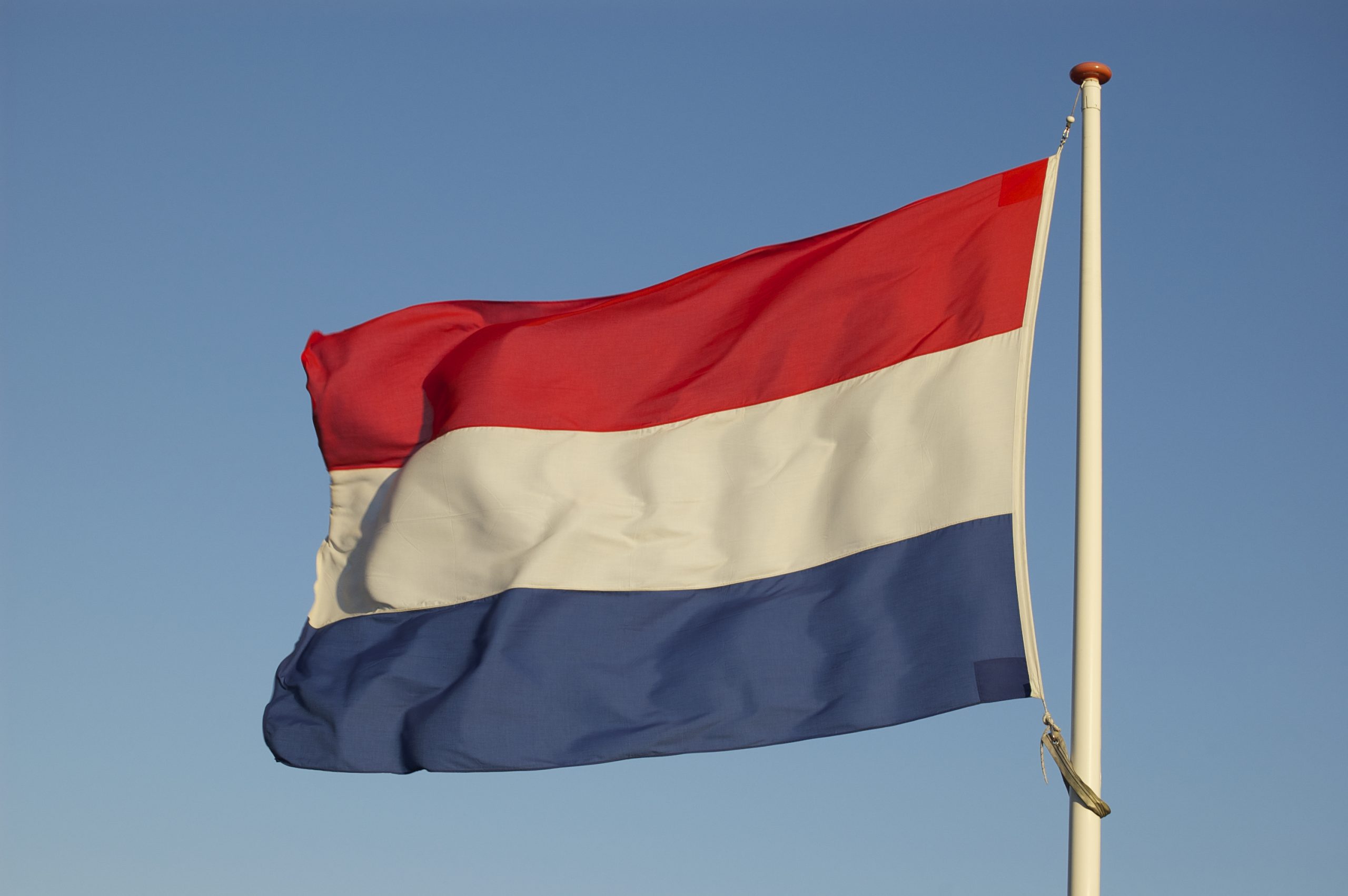 "Fate traduzioni in olandese?"
